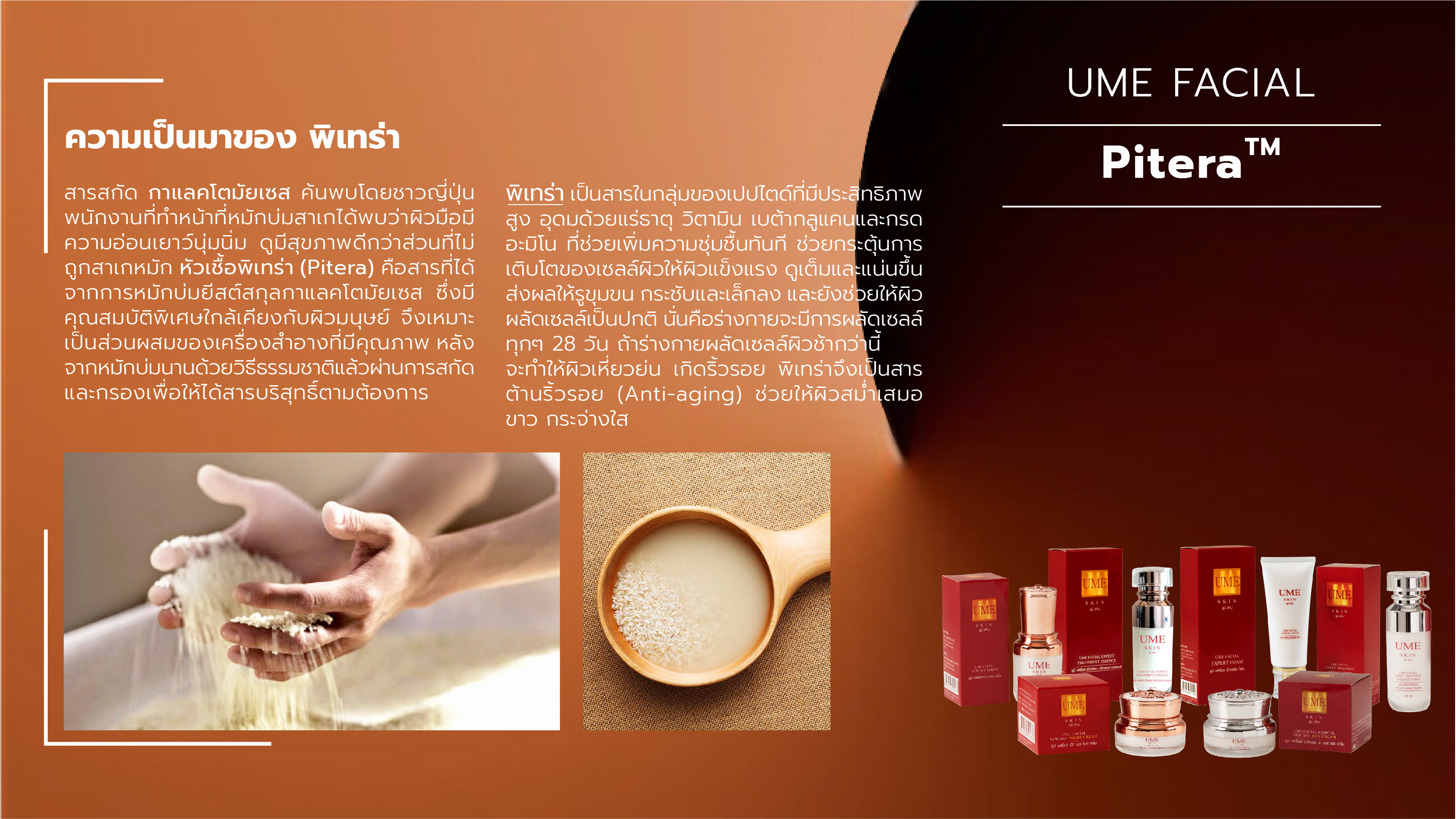 Ume Facial expert foam : Umeplus International