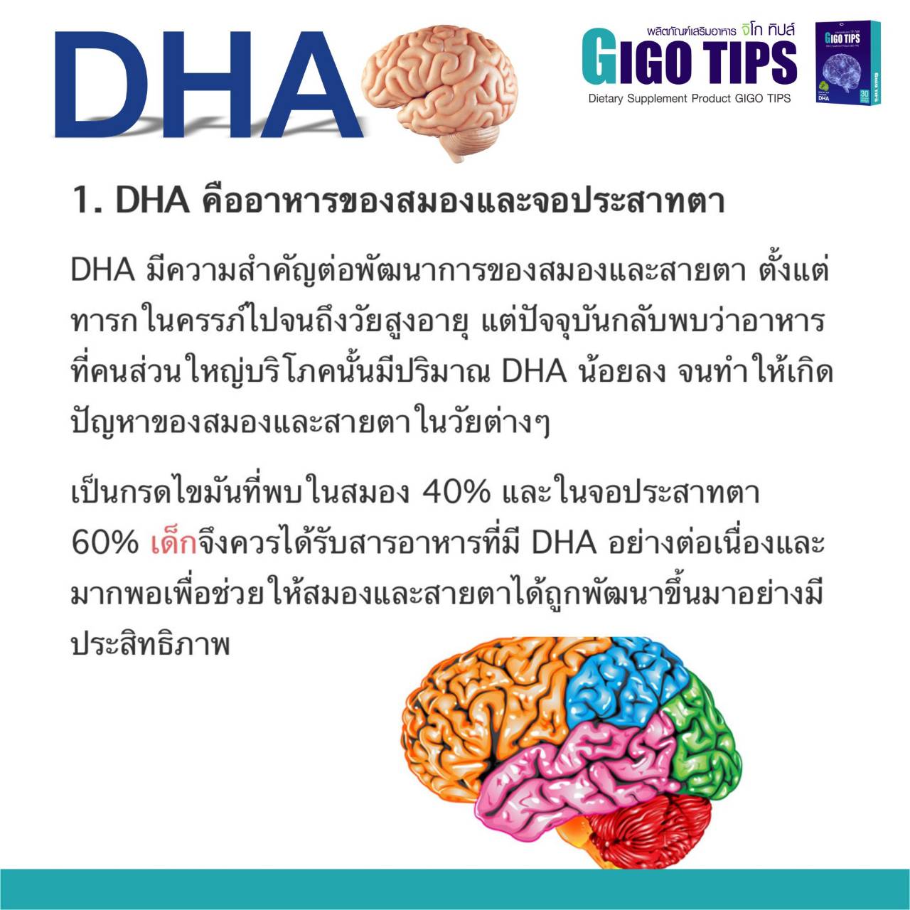 GIGO TIPS (บำรุงสมอง) : Umeplus International