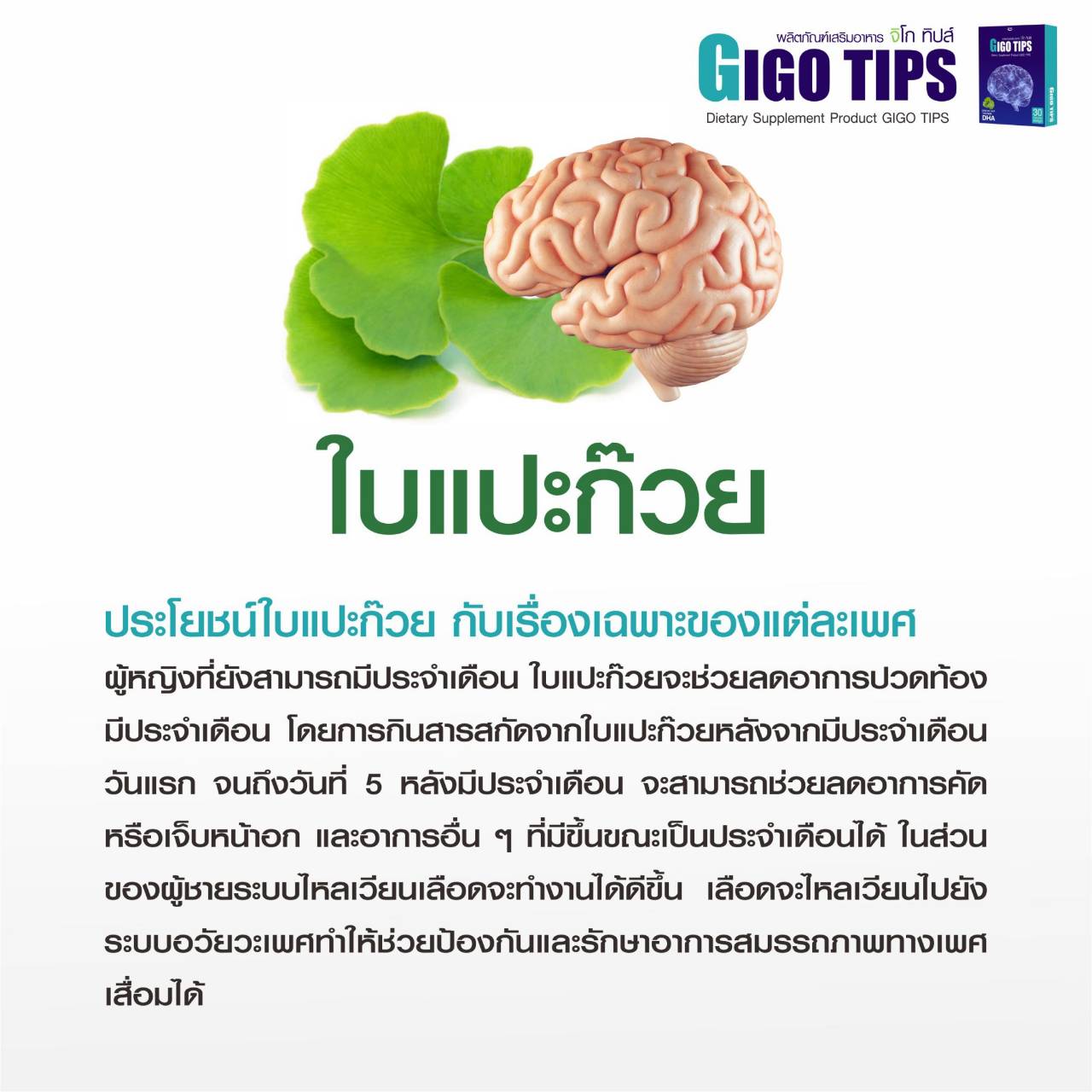 GIGO TIPS (บำรุงสมอง) : Umeplus International